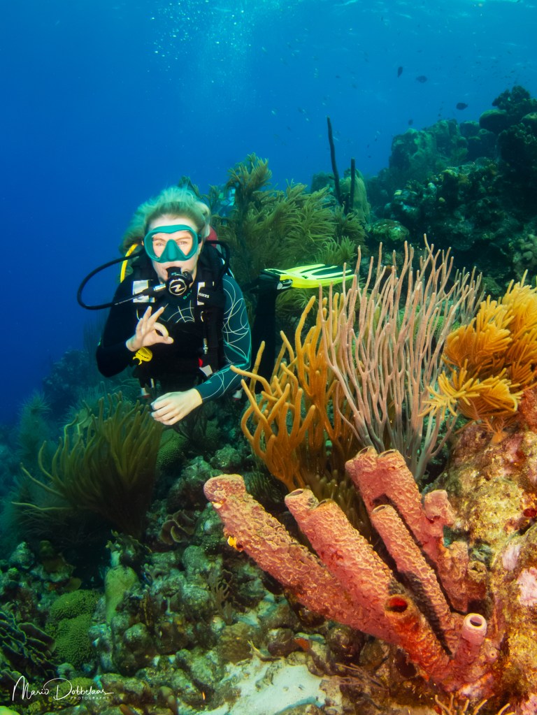 Diving on Curaçao – Diving on Curaçao