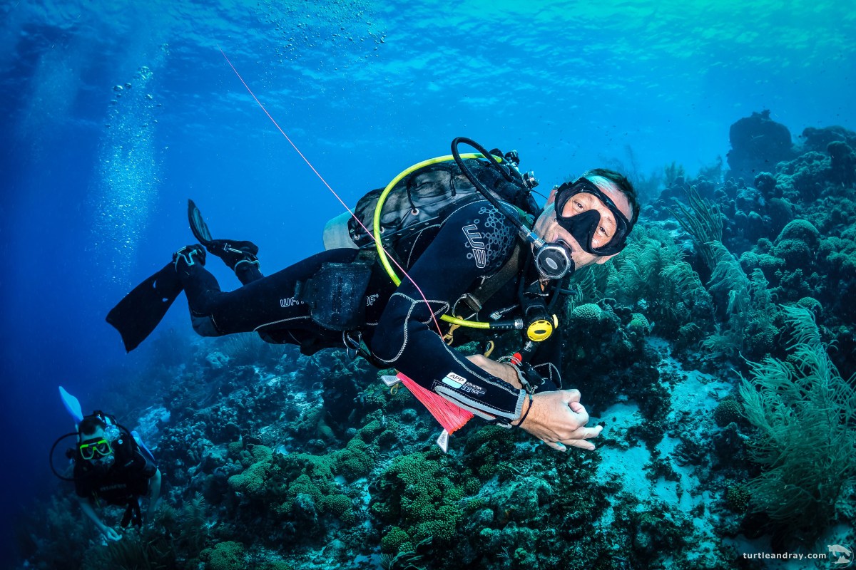 Guided Dives – Diving on Curaçao