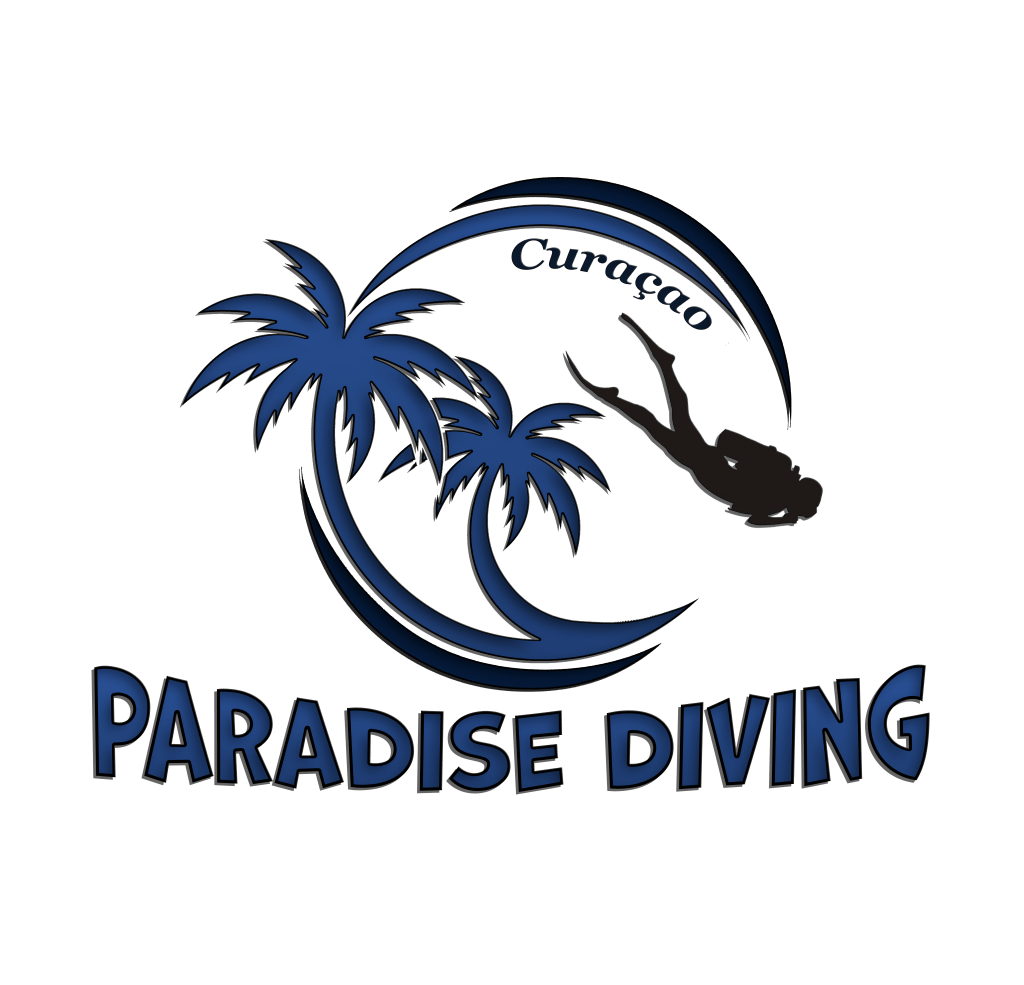 Introductieduik – Diving on Curaçao